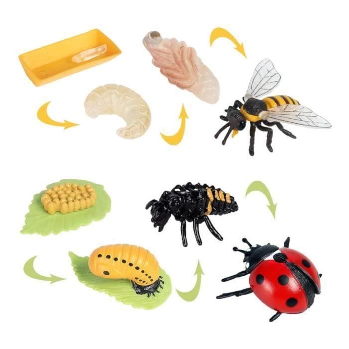 8PCS Figures du cycle de vie des insectes, vie d'une abeille et d'une ...
