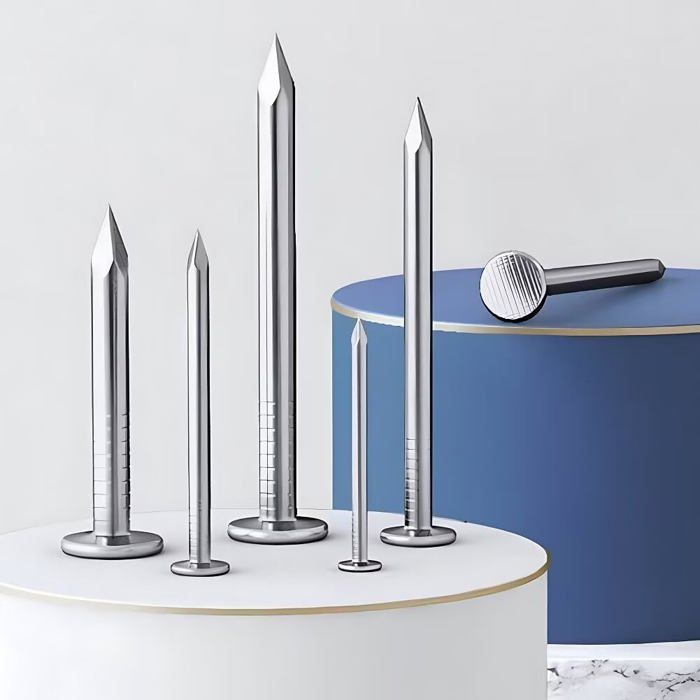 Clou de Ciment Clous en Acier Inoxydable 304 Clous Muraux Clous à Bois ...