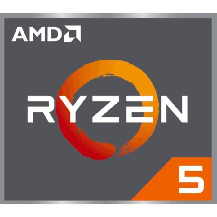 Ordinateur portable Hp 255 G8 AMD Ryzen 5 5500U 4 Ghz Max processeur de ...