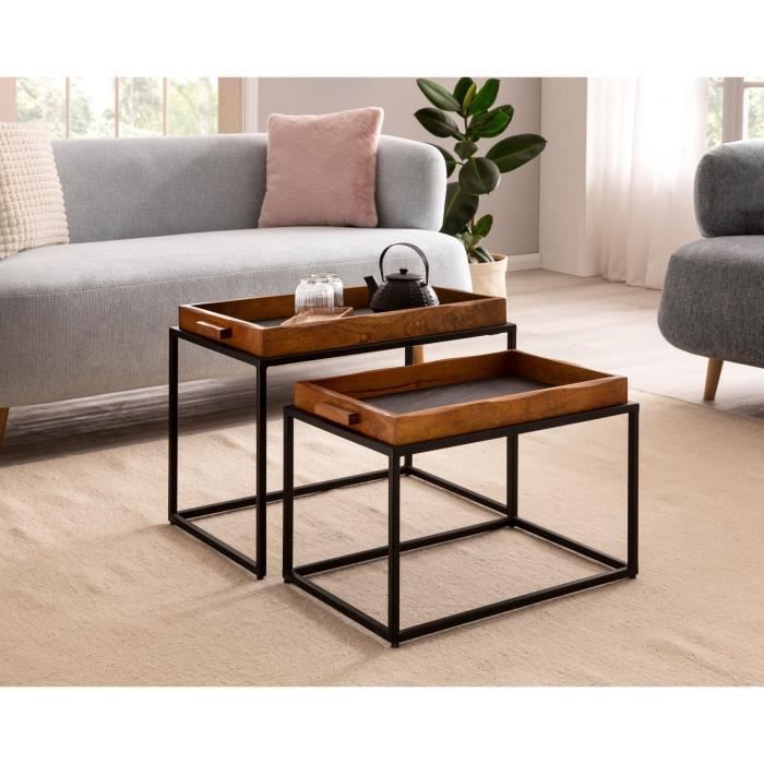 WOHNLING Tables Gigognes Bois Massif Table Basse Plateau Amovible Lot ...