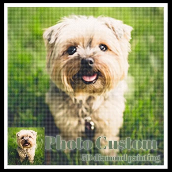 Kit De Peinture Diamant Personnalisé 5D À Faire Soi-Même, Photo Diamant ...