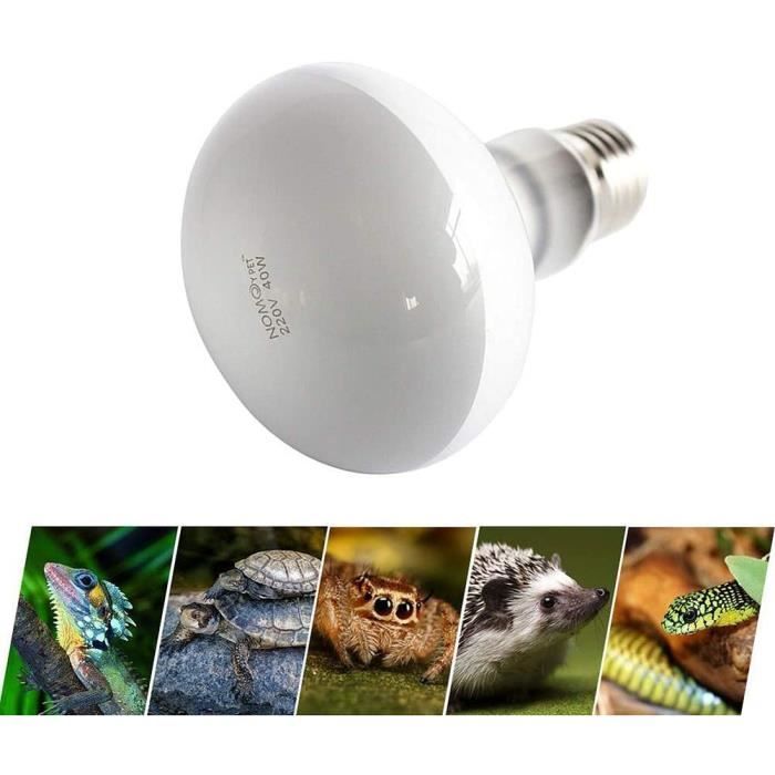 Lampe Chauffante Tortue Lampe Chauffante Terrarium Lampes chauffantes ...