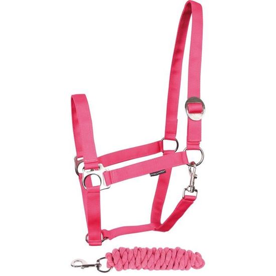 Ensemble licol pour cheval Harry's Horse Initial - fuchsia - Shetland ...