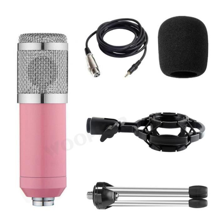 Ensemble Rose Microphone professionnel à condensateur BM-800, avec ...