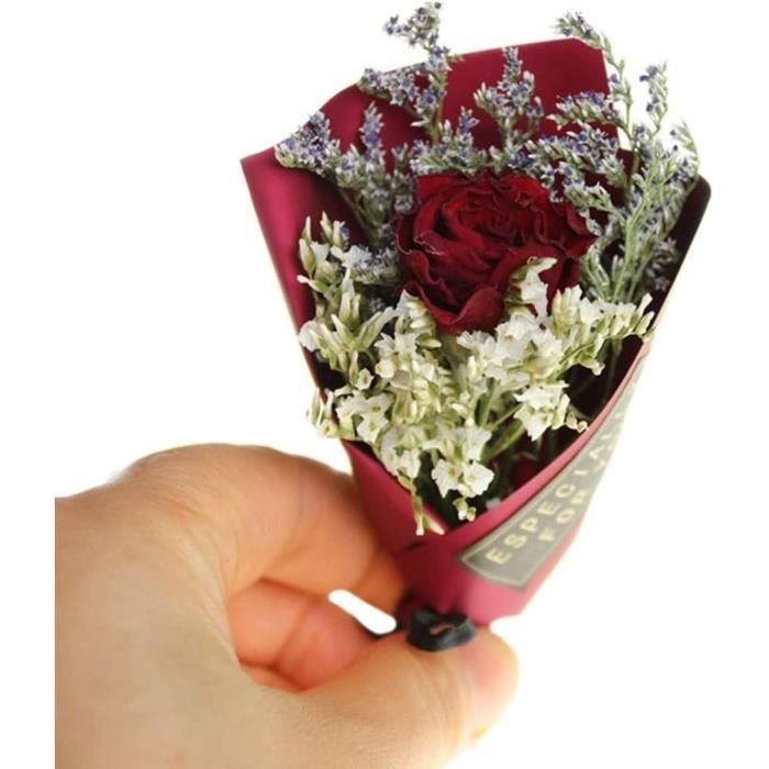 Fleurs Séchées Mini Bouquet De Gypsophile Rose Séchée Plantes ...