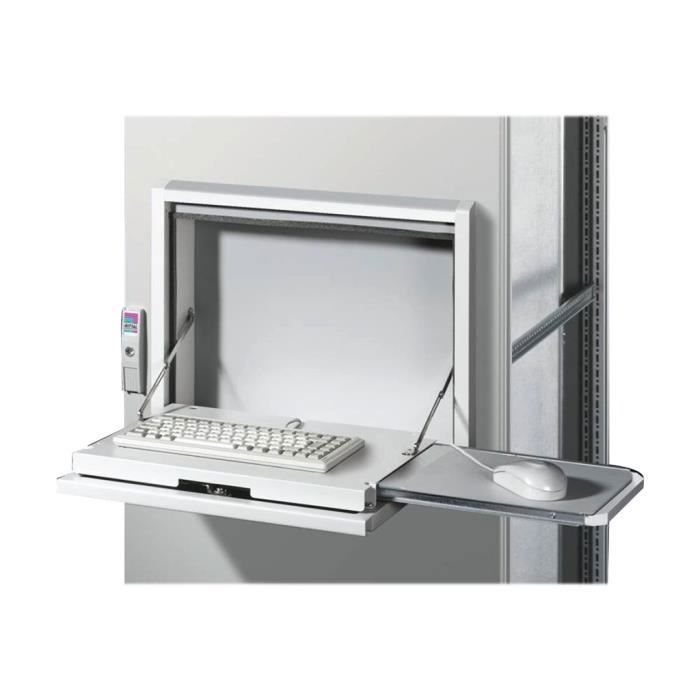 Rittal Fold-out tray Tiroir pour clavier-souris RAL 7035 8U 19 ...