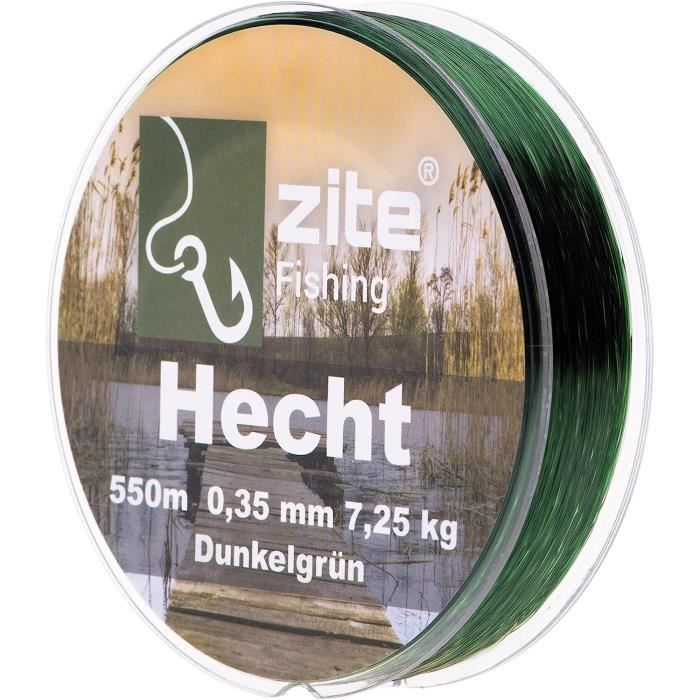 Ligne De Pêche Monofil - Fil De Pêche 550 M - Pour Truite, Anguille ...