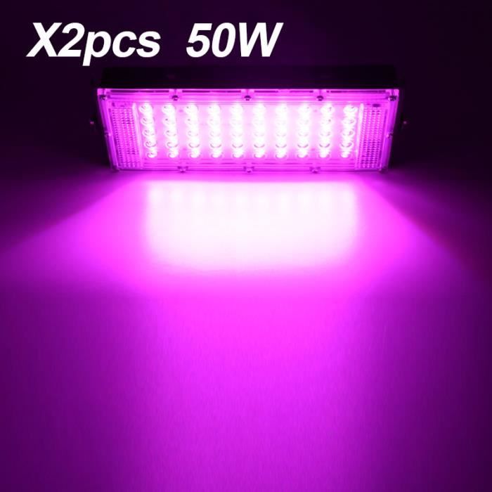 Projecteur LED 220V Extérieur Lampadaire étanche 50W Cultiver une lampe ...