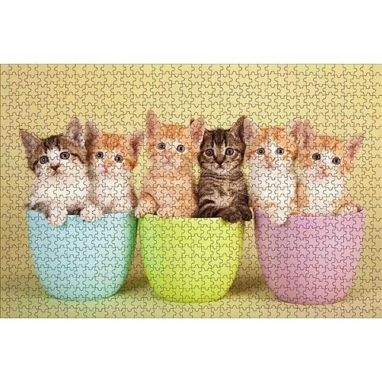 Puzzle 1000 pices Chaton Mignon Teens Fun Puzzles Games 75 x 50 cm ...