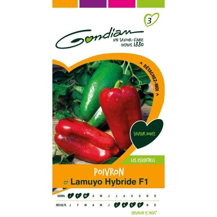 Semences - Piment-Poivron Lamuyo Hybride F1 - CP 3, Rouge, 1x8.1x16 cm ...