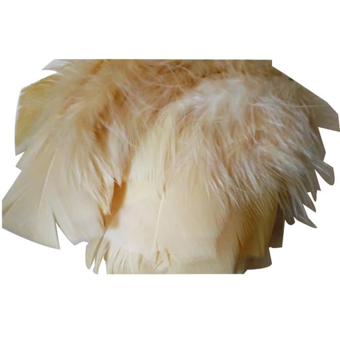 Plumes décoratives - Ecru - Lot de 50 - 10 cm - Coloris au choix ...