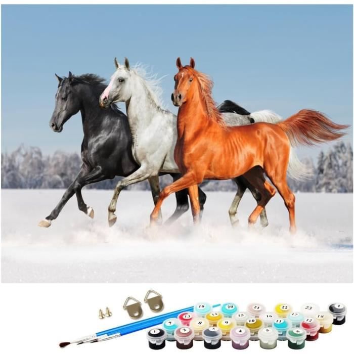 Peinture Par Numero Adulte Cheval 40X50Cm Kit De Peinture Par Numero ...