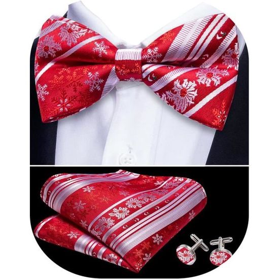 Nœud Papillon De Noël Pré-Noué Pour Homme Motif Flocons De Neige[n10901 ...