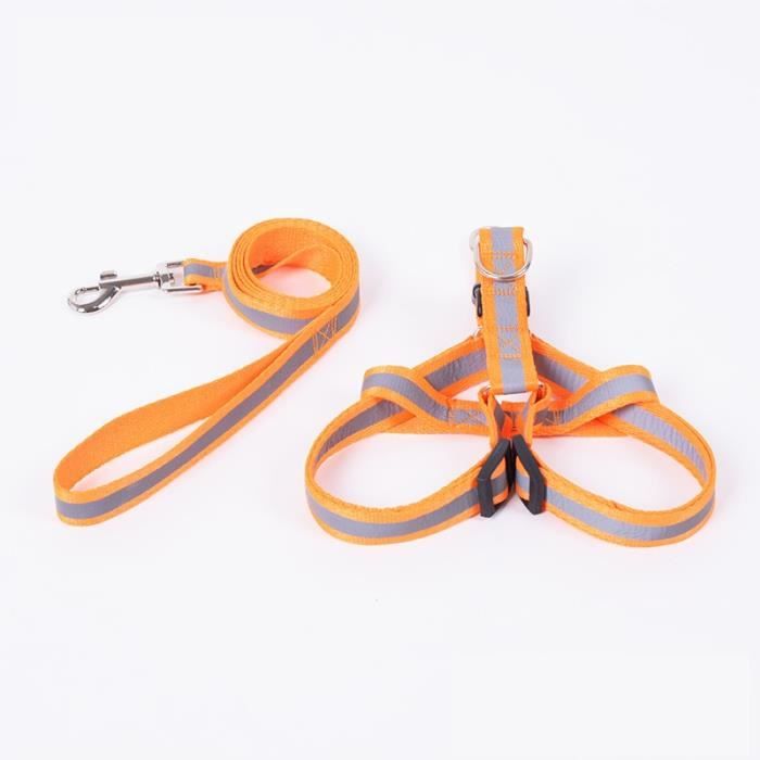 Animaux collier,Flat Belt Orange-S--Harnais réfléchissant pour chien ...