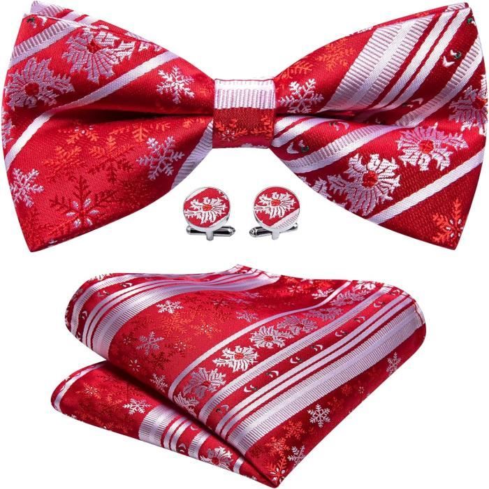 Nœud Papillon De Noël Pré-Noué Pour Homme Motif Flocons De Neige[n10901 ...