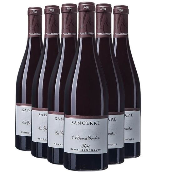 Sancerre Les Bonnes Bouches Rouge 2019 - Lot de 6x75cl - Domaine Henri ...