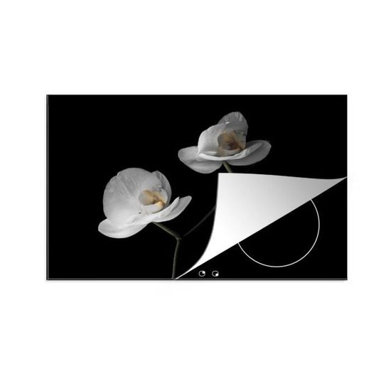 MuchoWow - Tapis plaque induction Orchidée tombante Protection plaque ...