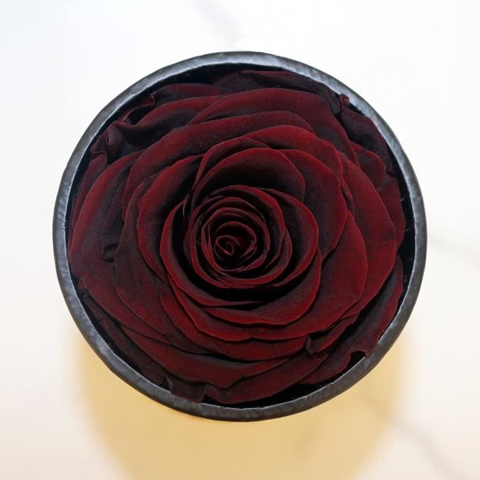 Rose Éternelle Conservée Dans Boîte, Vraie Rose Qui Dure 2 À 3 Ans ...