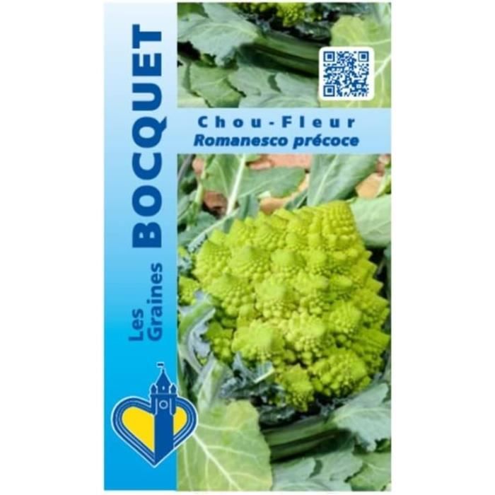 WEYE-Sachet de graines de Chou fleur vert Romanesco précoce - 1 g ...