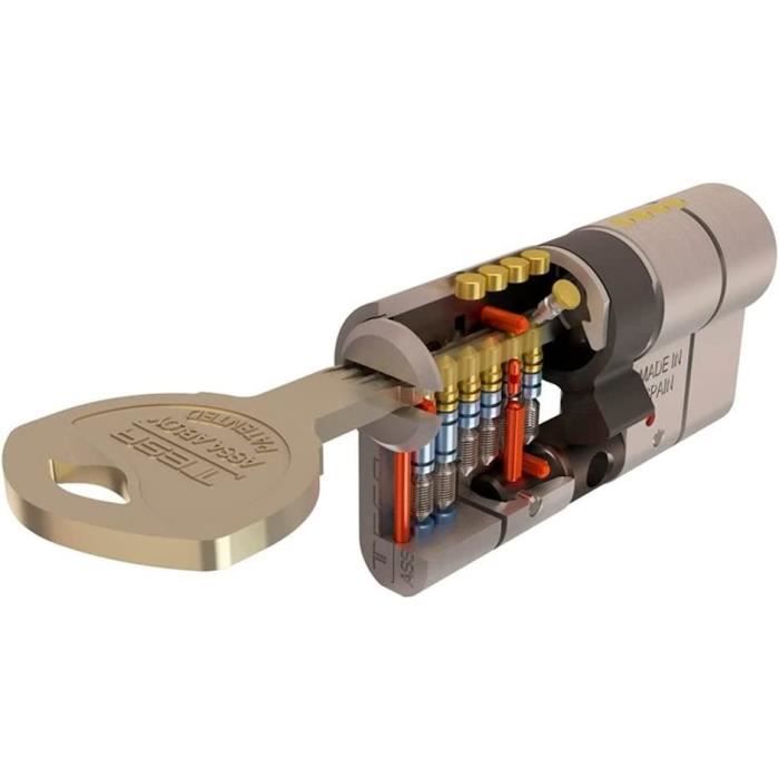 Assa Abloy t7553040 N Cylindre de haute sécurité, nickel, 30 x A82 - Cdiscount Bricolage