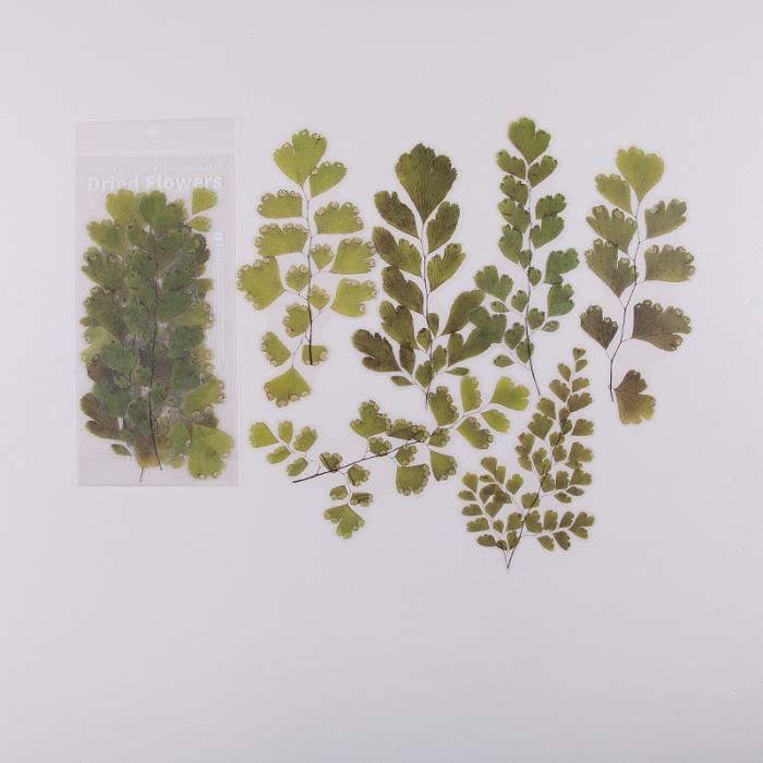 GOMMETTE,A--Fleurs autocollants pour scrapbooking, pour déco, album ...