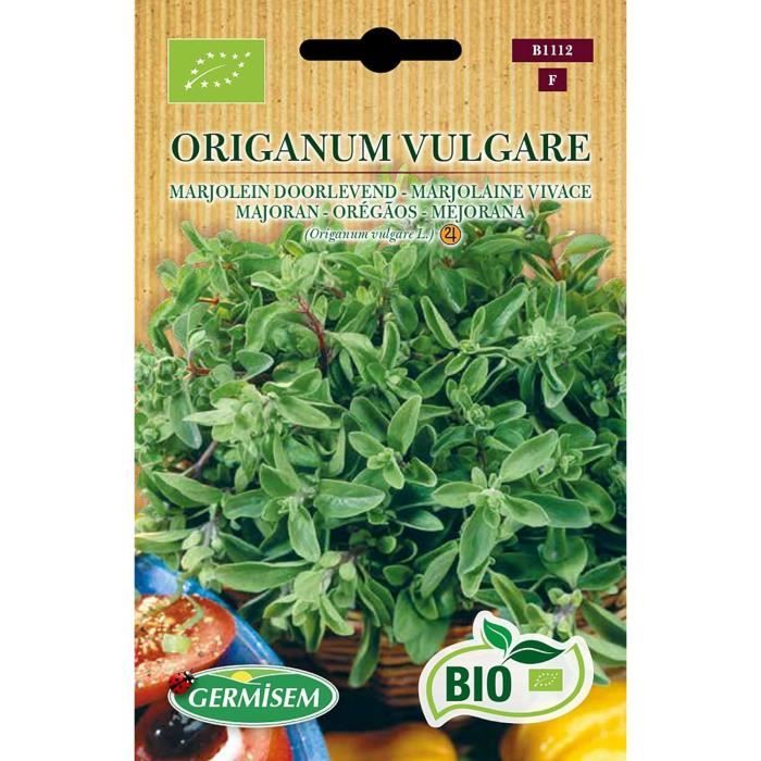 Germisem Bio Graines Marjolaine Vivace Origanum Vulgare[z10] - Cdiscount Jardin