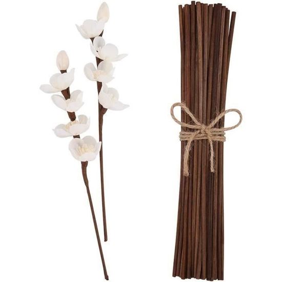 High-Jetengs Lot de 100 batonnets diffuseurs naturels – 2 batons d'aromathérapie Fleurs Sola ...