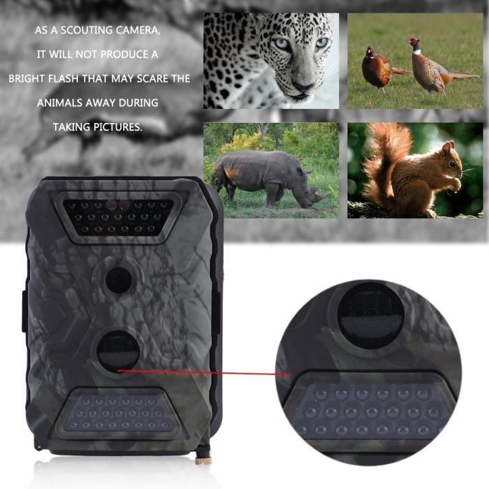 Caméra de chasse 5MP caméra animaux de surveillance avec infrarouge ...