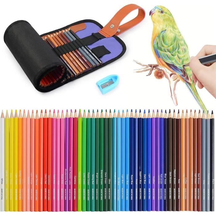 50 Crayons de Couleur pour Artistes,Crayons Aquarelle le Mélange et l ...