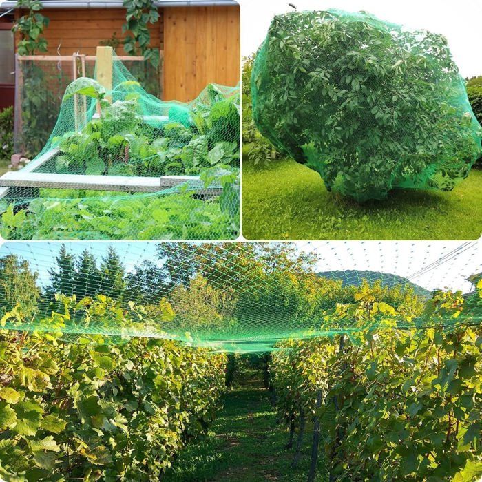 Filet De Jardin, Protection Pour Plantes, Légumes, Fruits Et Étangs ...