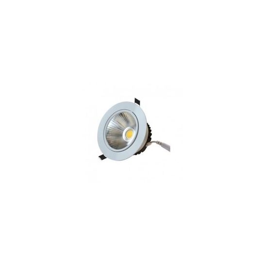 Spot LED Orientable avec Alimentation Electronique 12W 3000°K ...