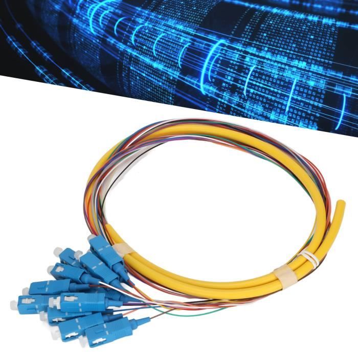 Câble à fibre optique - ASHATA - SC/UPC SM Monomode - 12 Brins - PVC ...