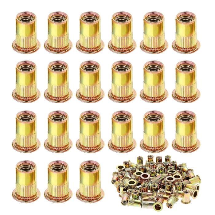 100 Pièces Filetée Rivet Écrou Kit,Rivet Écrous,Inserts Filetés,Tête ...