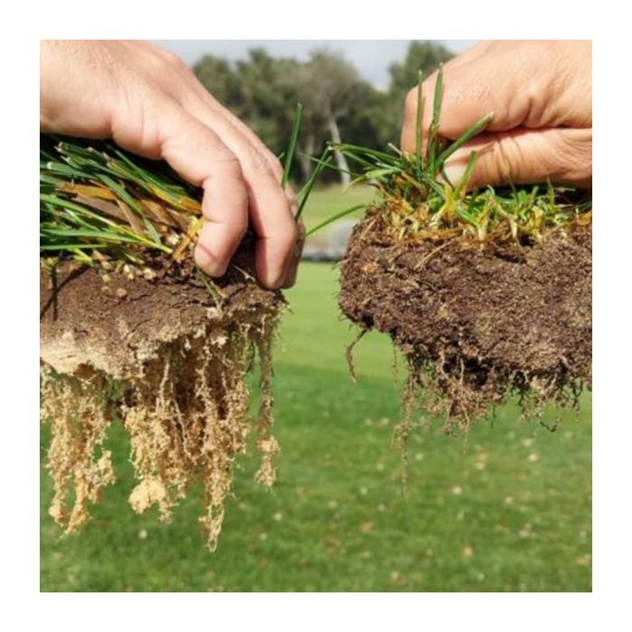 Biostimulant racinaire Deep Root Pro 0,5 kg pour gazon, arbres, fleurs ...