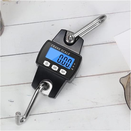 Balance suspendue Balances de grue 300kg balance industrielle ...
