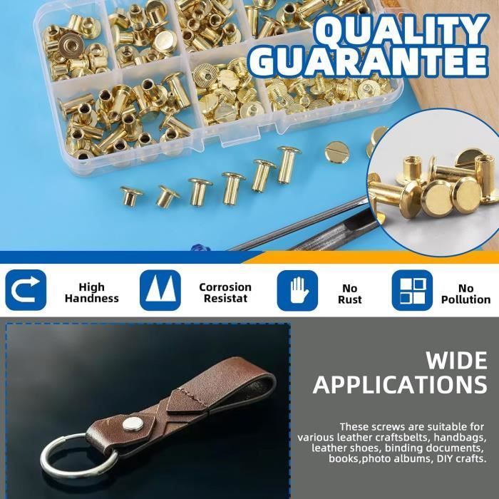 Lot De 150 Vis Chicago Dorées Assorties, M5 X 5 Mm, 6 Mm, 8 Mm, 10 Mm ...