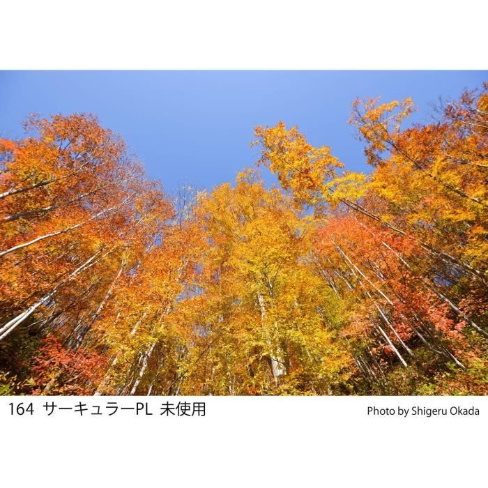 Filtre polarisant - Cokin - Z164 - 100mm - Améliore la saturation ...