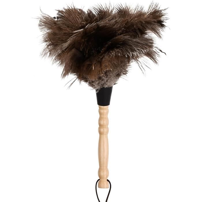 Plume d'Autruche Plumeau, Plumeau d'autruche Antistatique Plumeau ...