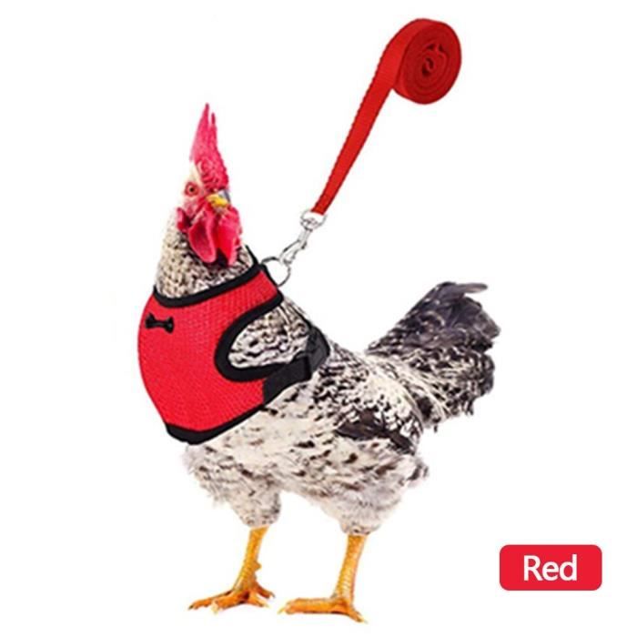 Animaux collier,Red-XS--Gilet de poulet et canard à la mode, ceinture ...