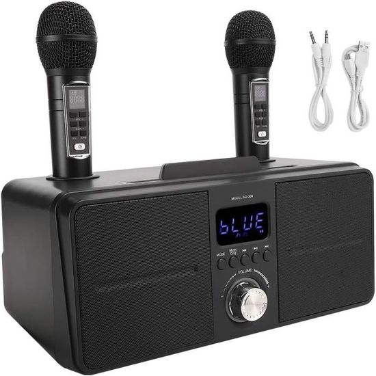 Ensemble De Système De Microphone De Karaoké Portable, Avec Double ...