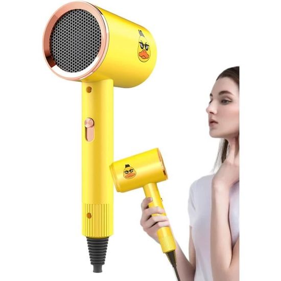 Sèche-Cheveux Compact, Mini Sèche-Cheveux Portable, Machine De Coiffure ...