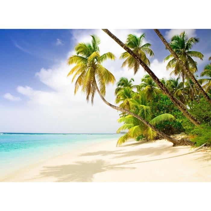 Papier Peint Photo INTISSÉ-PALMIERE PLAGE-(223002)-500x280cm-10 lés ...