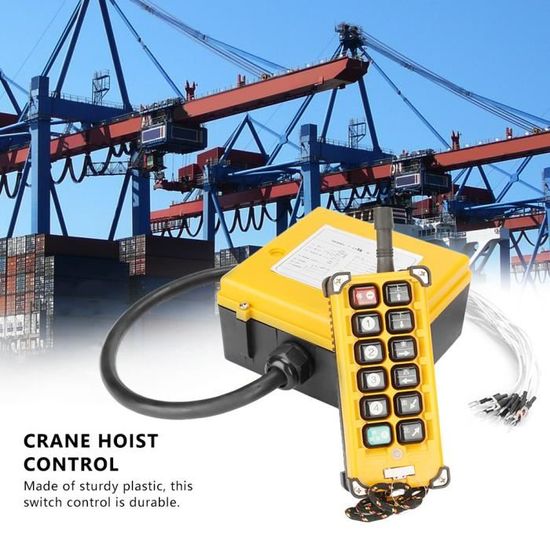 Cikonielf Commande de palan de grue Crane Hoist Control, Crane Chain Hoist Push Button Switch ...