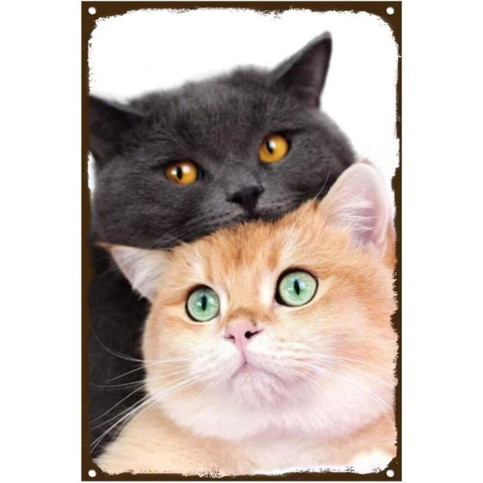 Poster Métallique Affiche,Animal de Compagnie Chat,Peinture Art ...