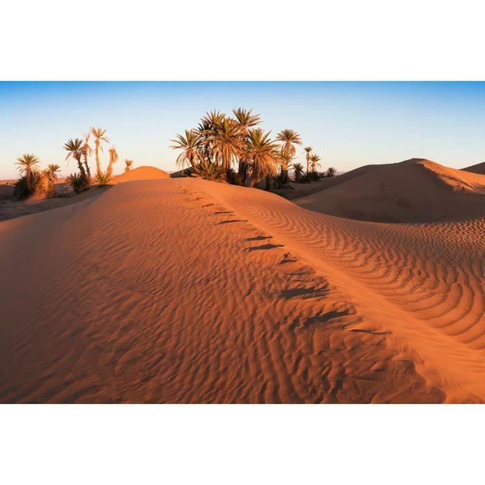 Papier Peint Photo INTISSÉ-(193010)-SAHARA-250x186cm-5lés-Mural Poster ...