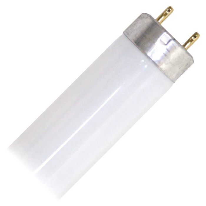 Philips 30540 - TLD 30W/54 6500 blanc froid Tube fluorescent droit T8 ...