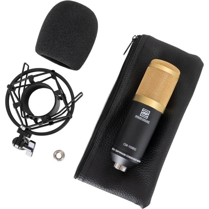 Cm-100Bg Microphone À Condensateur - Micro Cardioïde À Grand Diaphragme ...