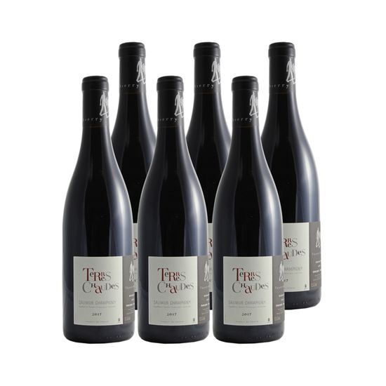Domaine des Roches Neuves Saumur-Champigny Terres Chaudes 2017 - Vin ...