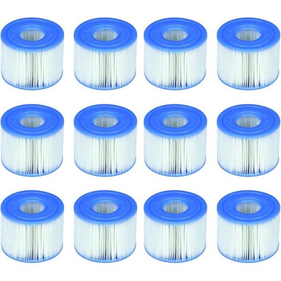 Lot de 12 Filtres Spa Intex Type S1 – Cartouches Filtrantes pour ...