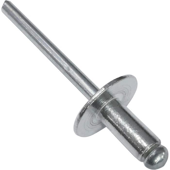 C48265 - Lot De 100 Rivets Aveugles Ø4.8X10Mm À Tête Large 14Mm - Din ...